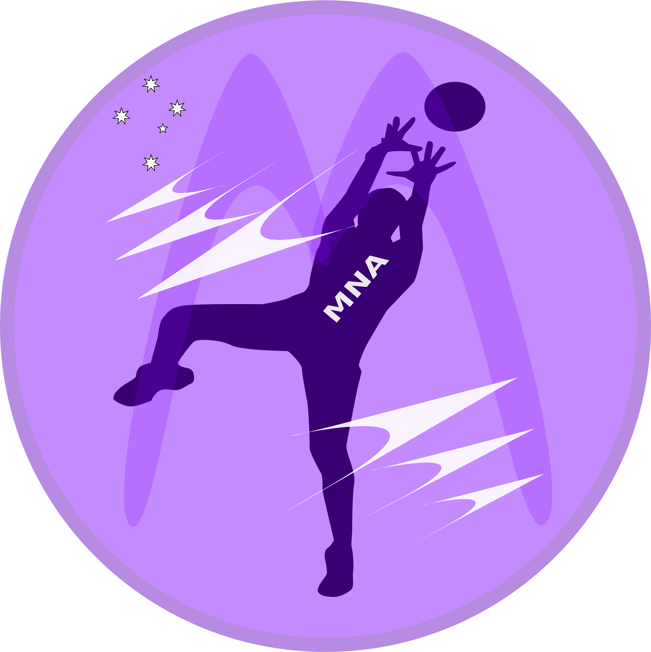 Understanding the Different Types of Netball Passes - Sport